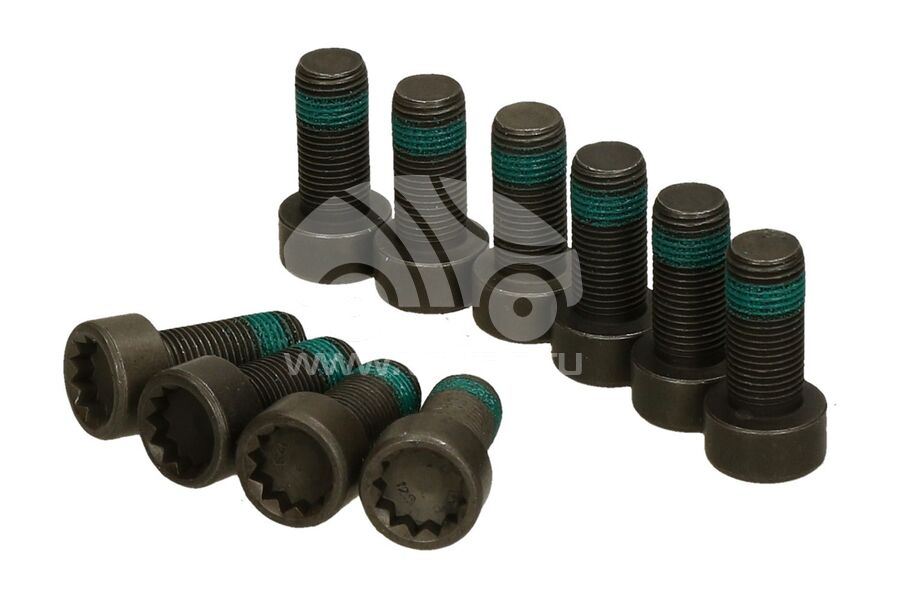 Болт маховика TZZ1009 купить в Минске | БелСтартерГрупп